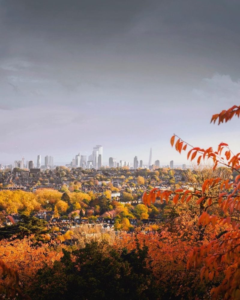 Leaf Peeping in London: 10 Places to See the Autumn Leaves Change ...
