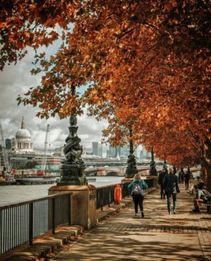 Leaf Peeping in London: 10 Places to See the Autumn Leaves Change ...